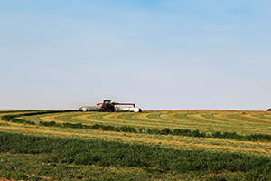 Natural_Prairie_Dairy | AgriVision