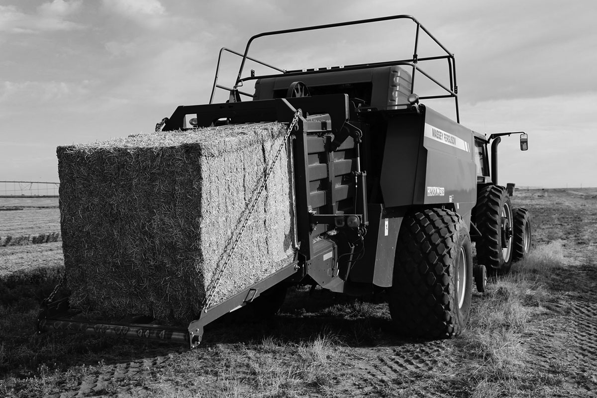 About Our Culture & Leadership | AgriVision Farm Management